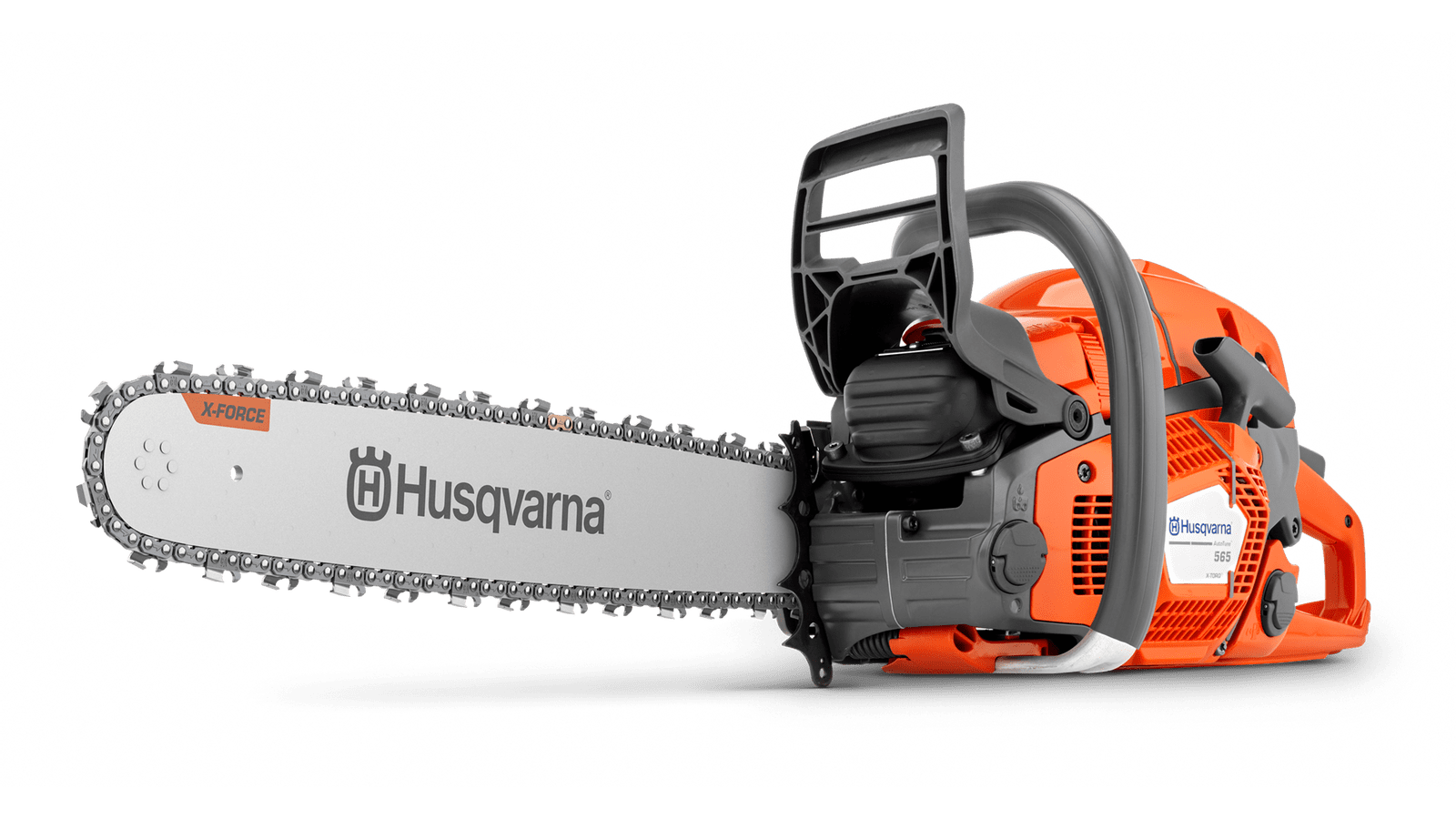 Successful Tree Felling in 6 simple steps - Call: 068 474 7303